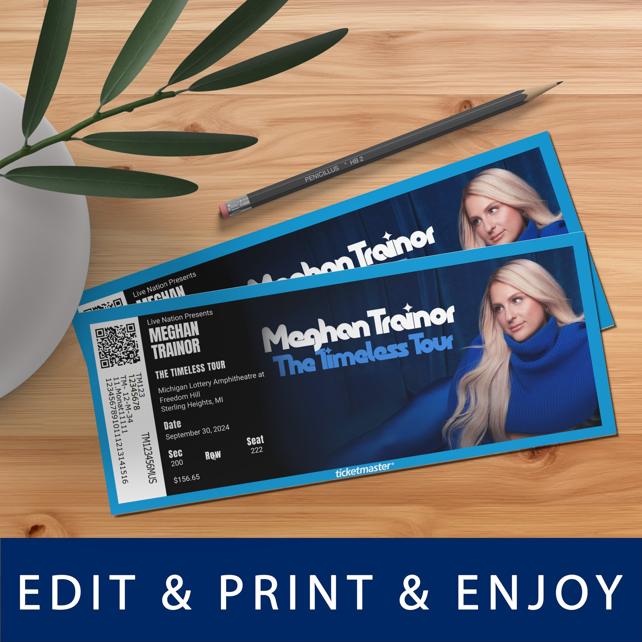 MEGHAN TRAINOR Ticket the Timeless Tour, Editable Event Show Admission ...