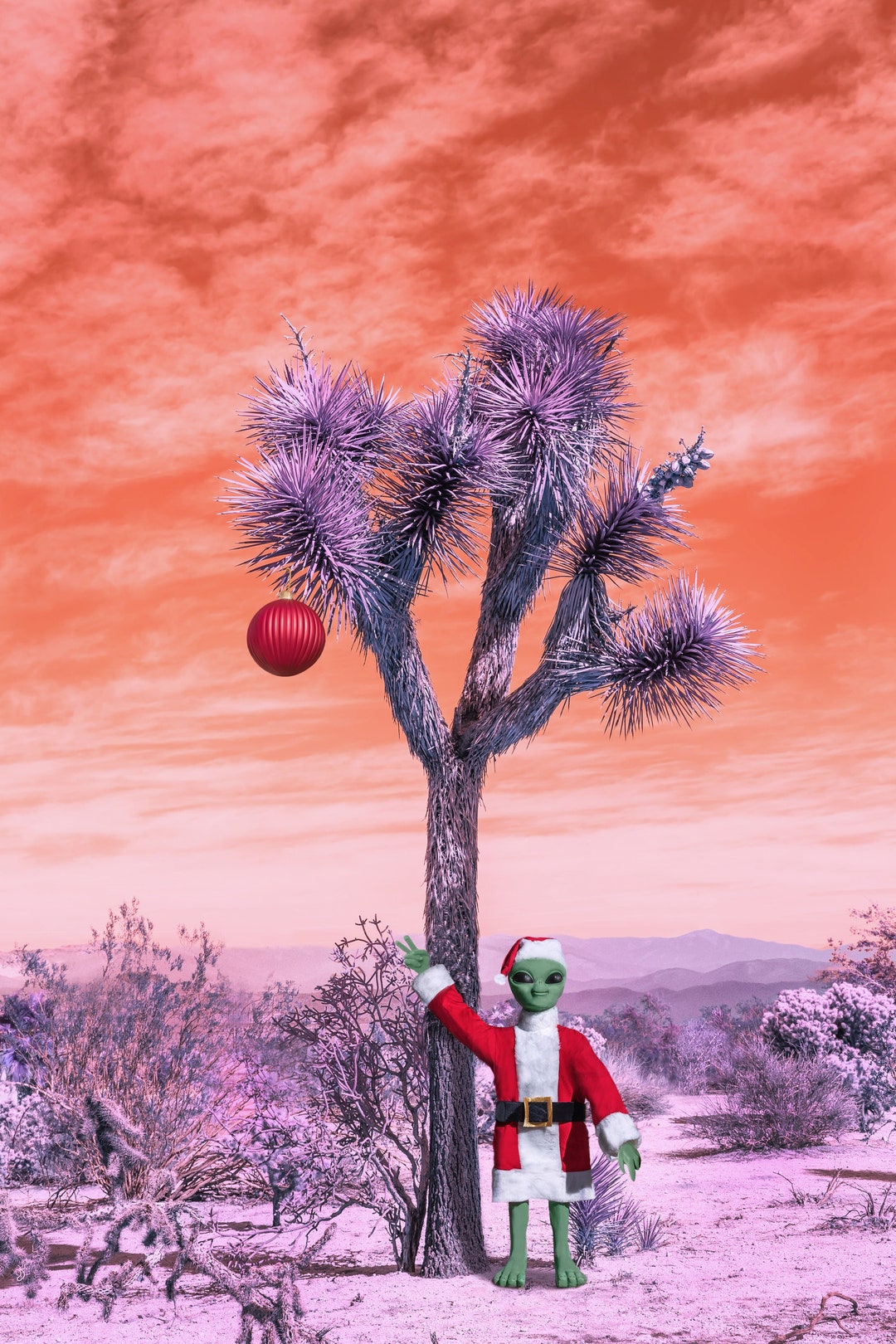 Alien Holiday Card Joshua Tree Christmas Card - Etsy