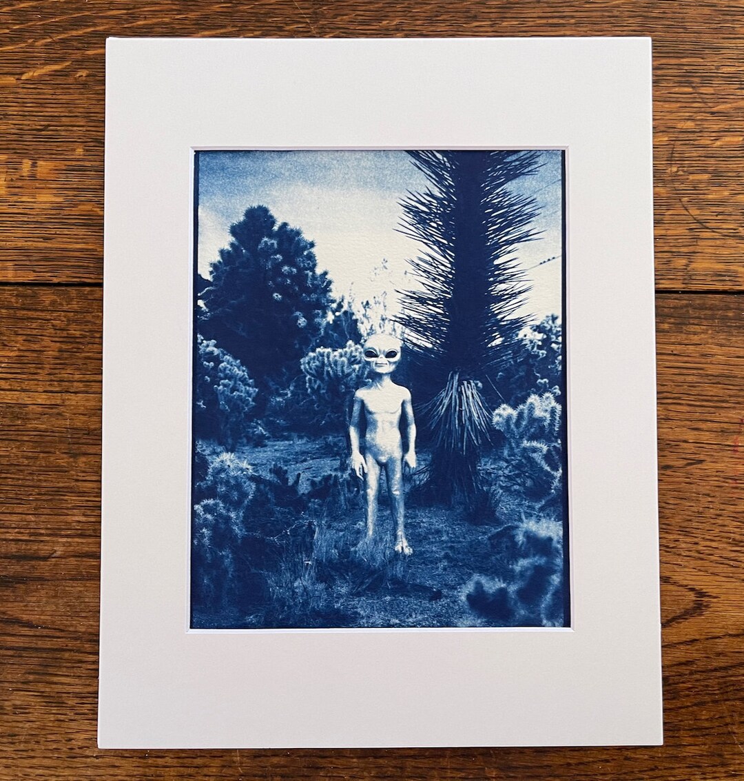 Fred the Alien in Joshua Tree National Park Handmade Cyanotype Print by ...
