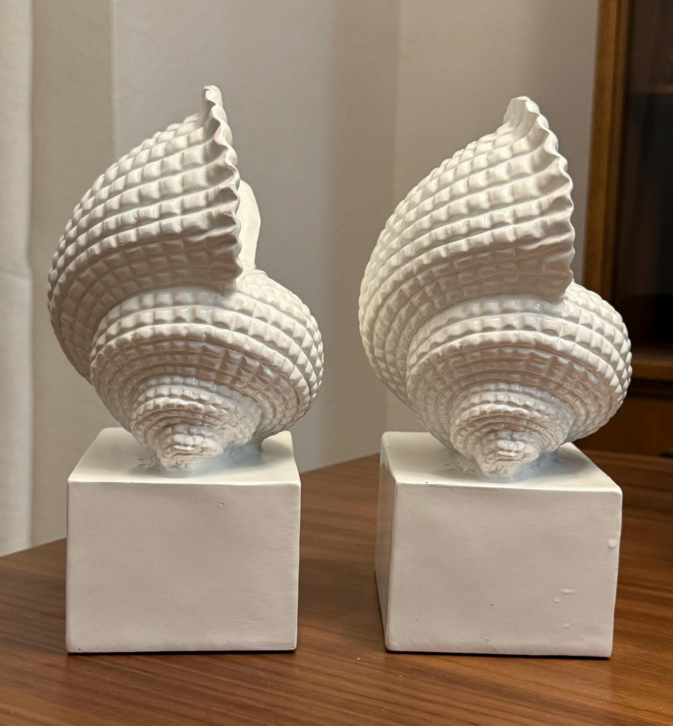 Set of 2 Conch Shell White Wooden Tabletop Shelf Display Figurines ...
