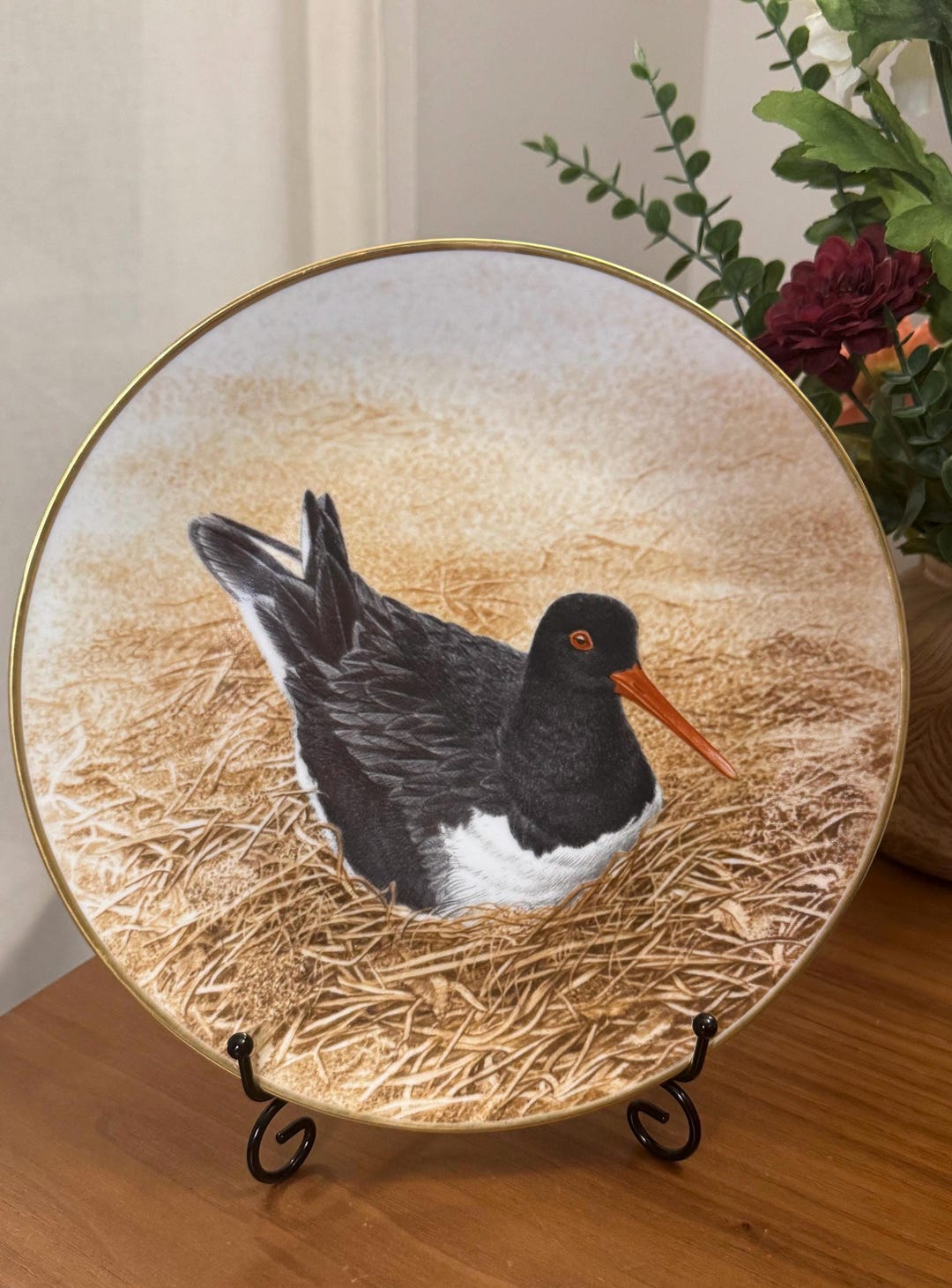 Vintage ‘oyster-catcher’ the 12 Waterbird Plates Collection- Bavarian ...