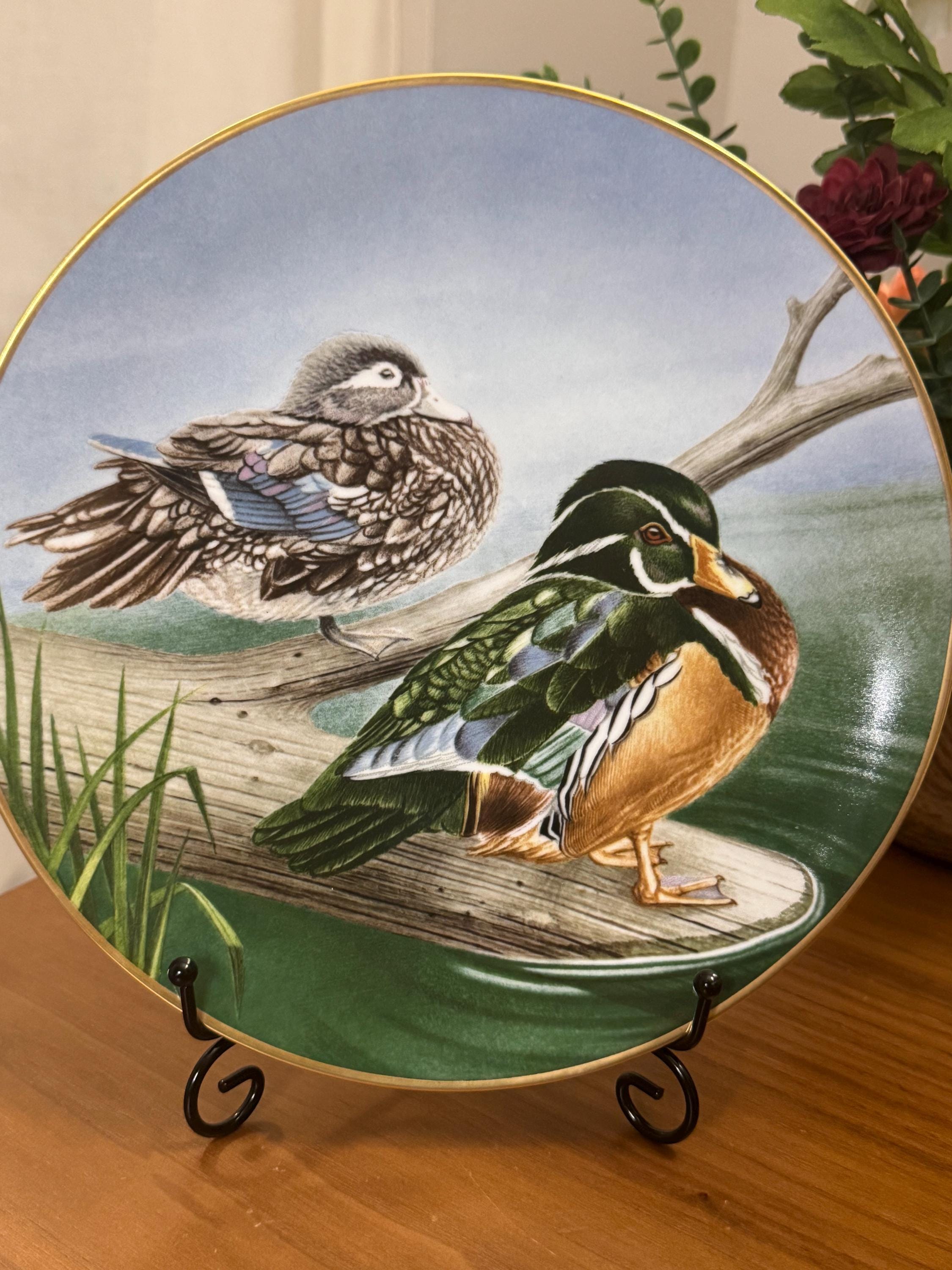Vintage ‘wood Duck’ From the 12 Waterbird Plates Collection- Bavarian ...