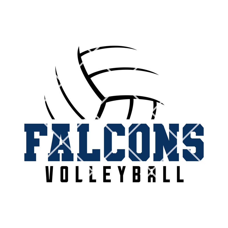 Falcons Cricut File - Etsy