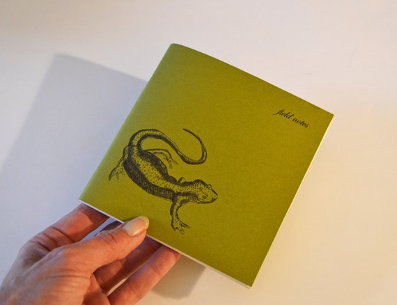 Newt Notebook Field Notes for the Naturalist Blank Book | Etsy