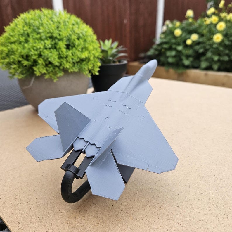 F22 Raptor Fighter Jet Model With Removable Stand 3D Printed - Etsy UK