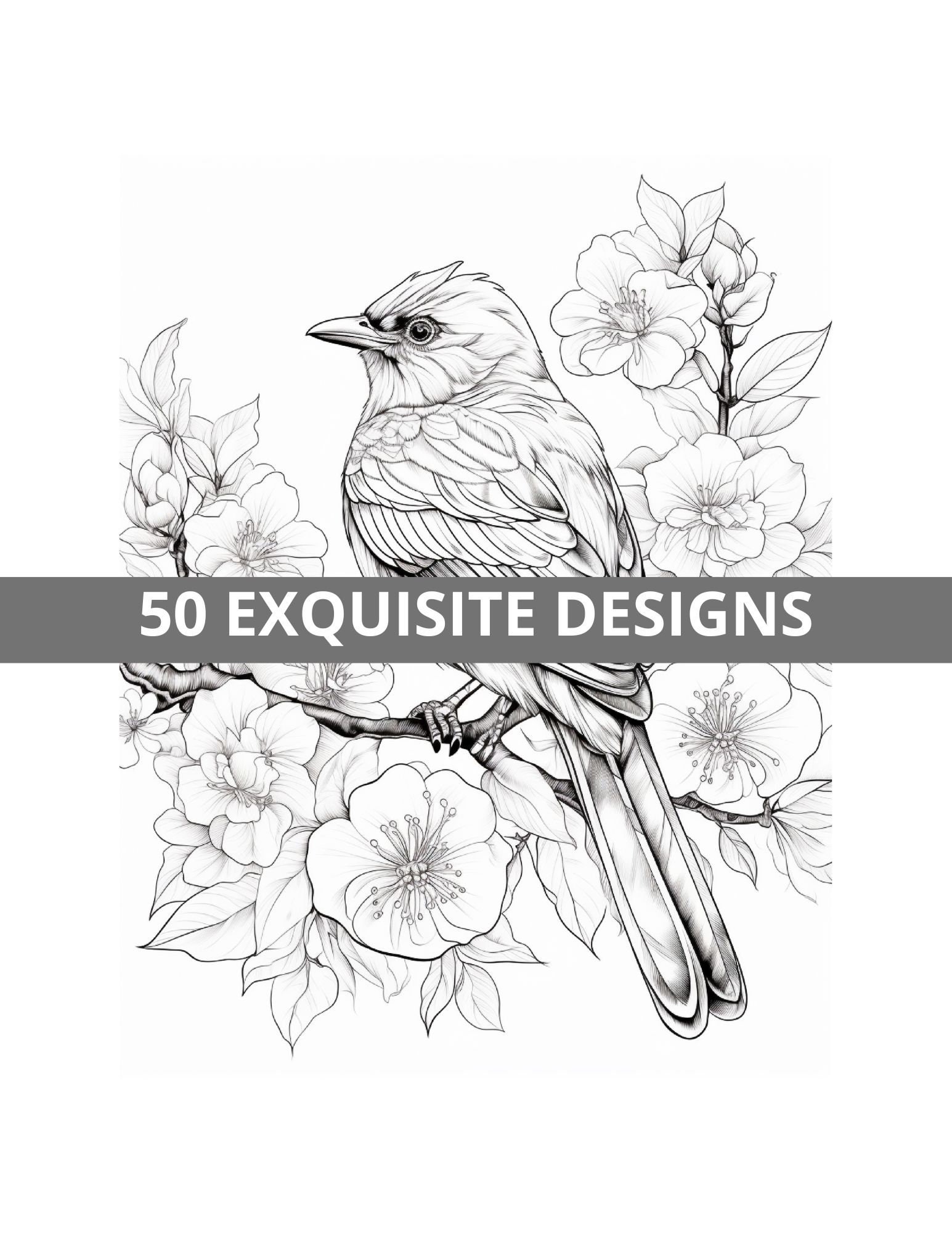 70 Coloring Book - Serenity: Stress-free Coloring Journey (coloring ...