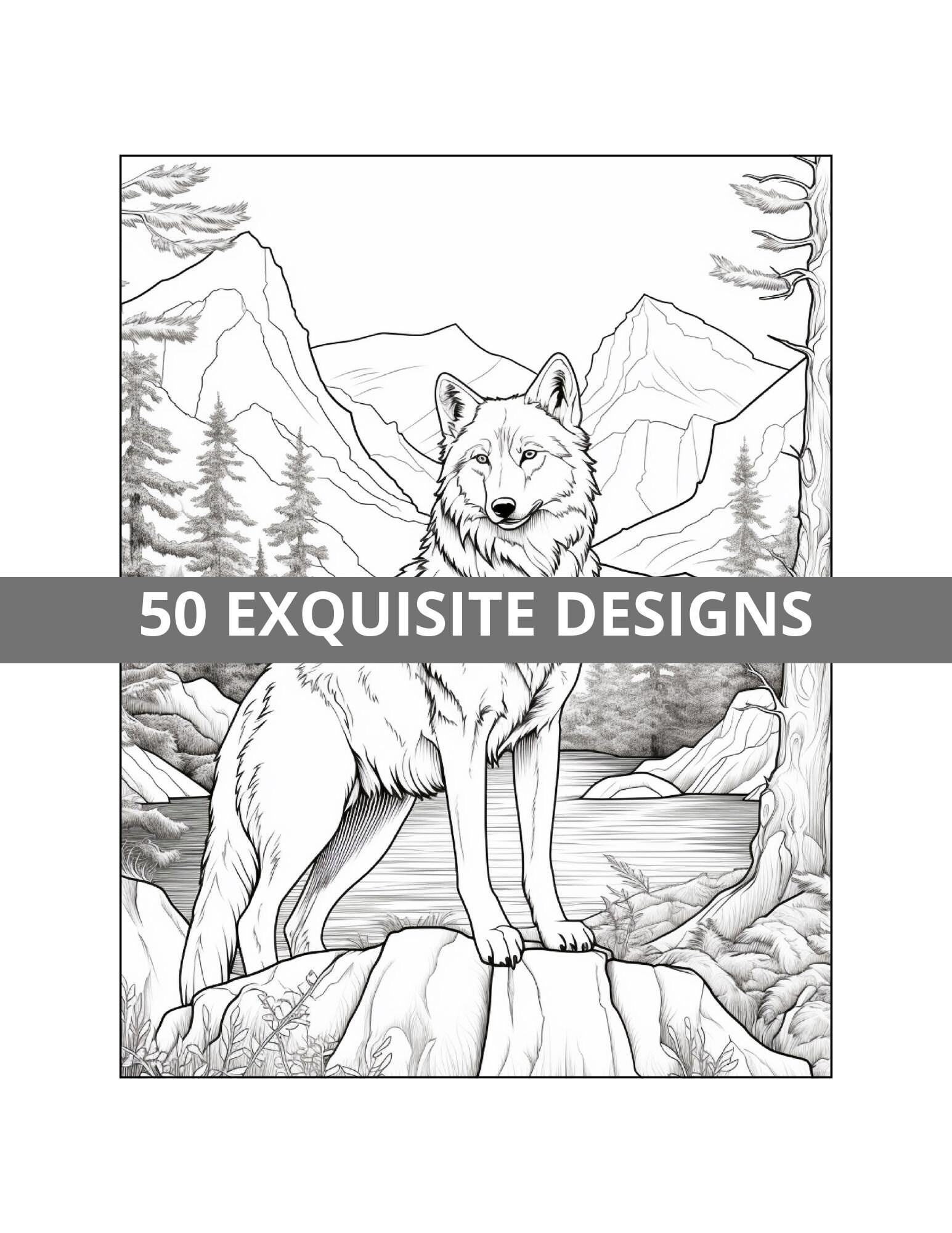 70 Coloring Book - Serenity: Stress-free Coloring Journey (coloring ...