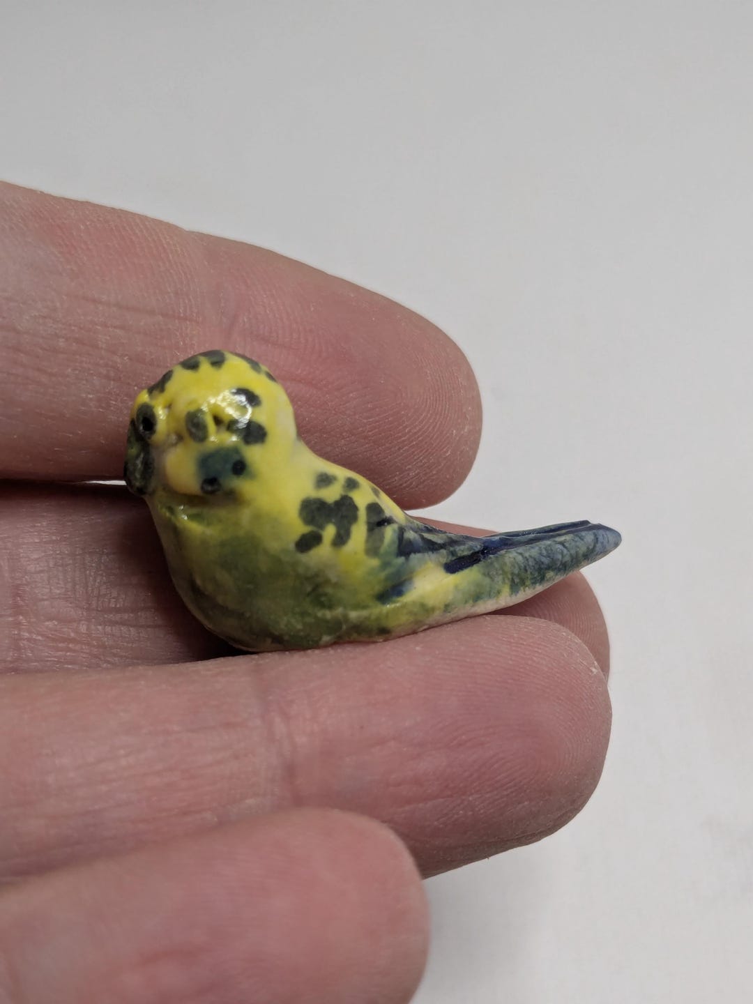 Miniature Budgerigar Budgie Bird Parakeet - Etsy