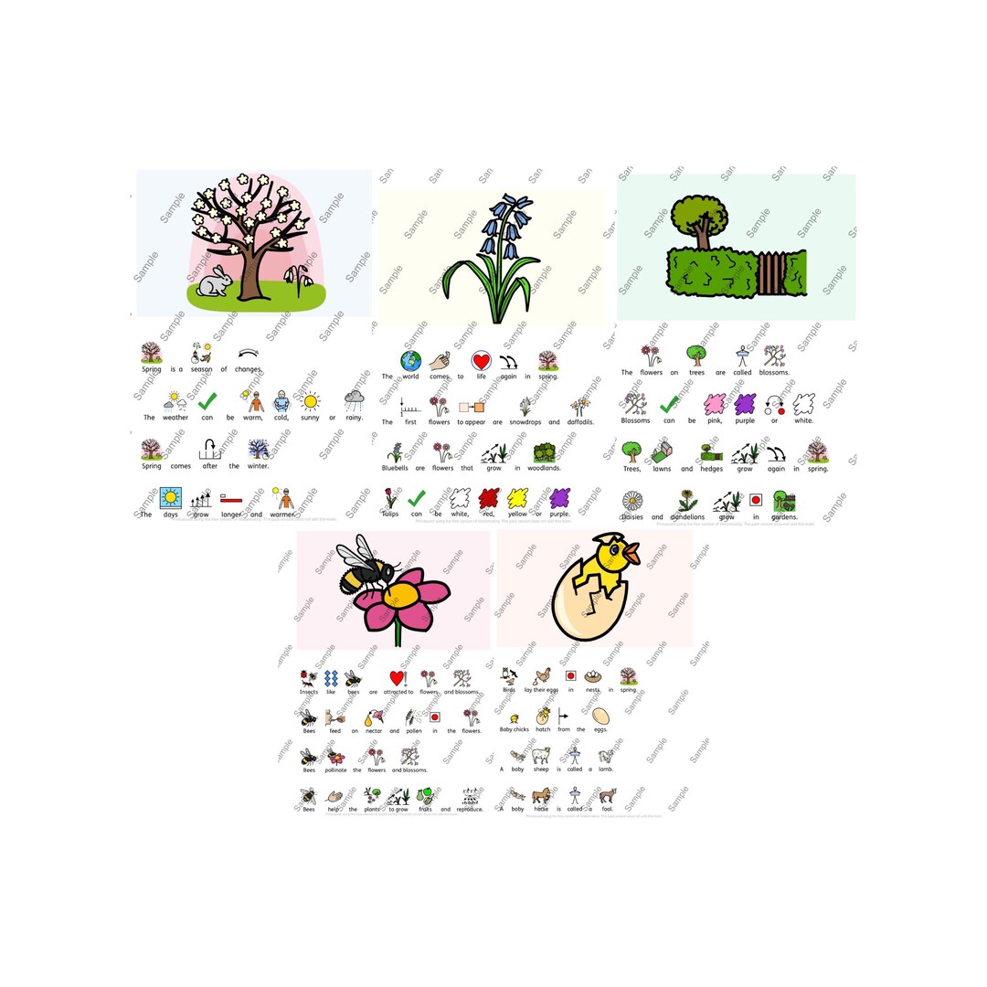 Spring Social Story, Visual Communication Support, Visual Aid for Send ...