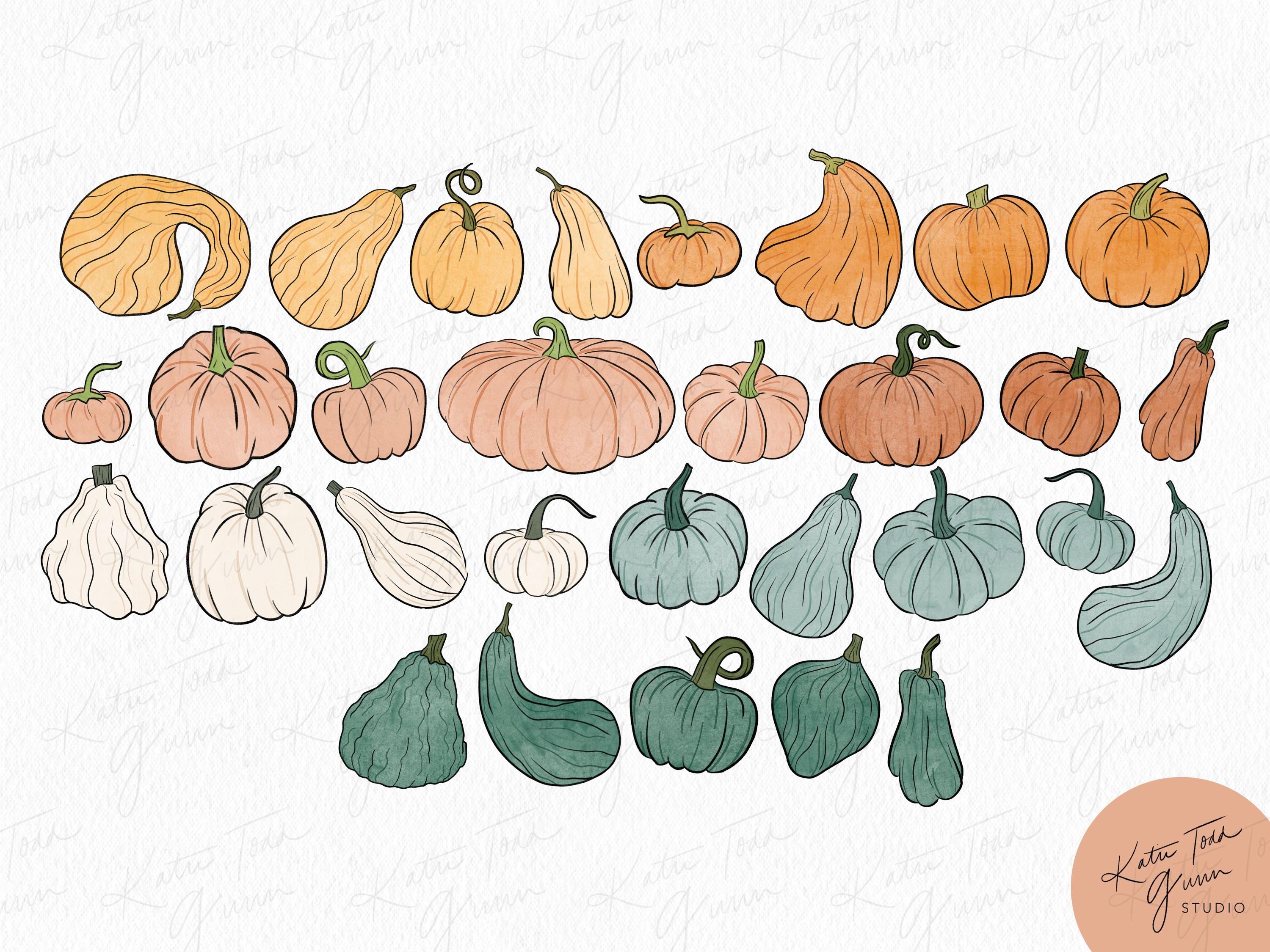 Watercolor Pumpkin Clipart, Pumpkins, & Squash, Autumn, Fall Pumpkins ...