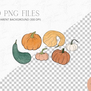 Watercolor Pumpkin Clipart, Pumpkins, & Squash, Autumn, Fall Pumpkins ...