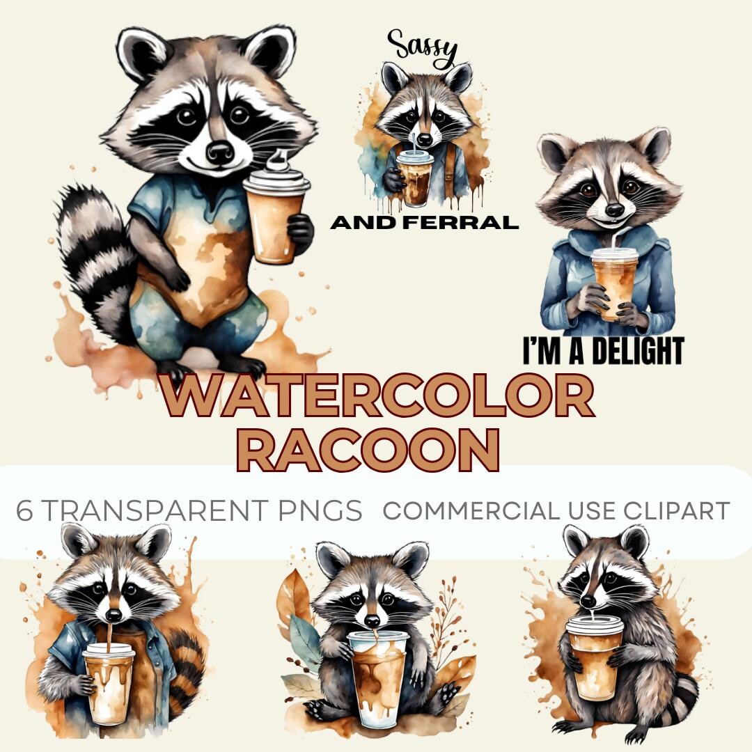 6 Transparent Raccoon Clip Art Bundle PNG | Cute Woodland Animal ...