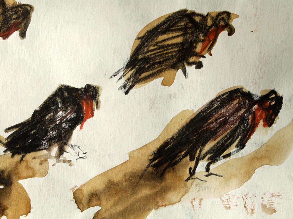 Turkey Vultures With Pigeon Drawing on Paper - Etsy