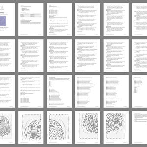 Eagle Filet Crochet Baby Blanket Pattern (PDF Download) - Etsy