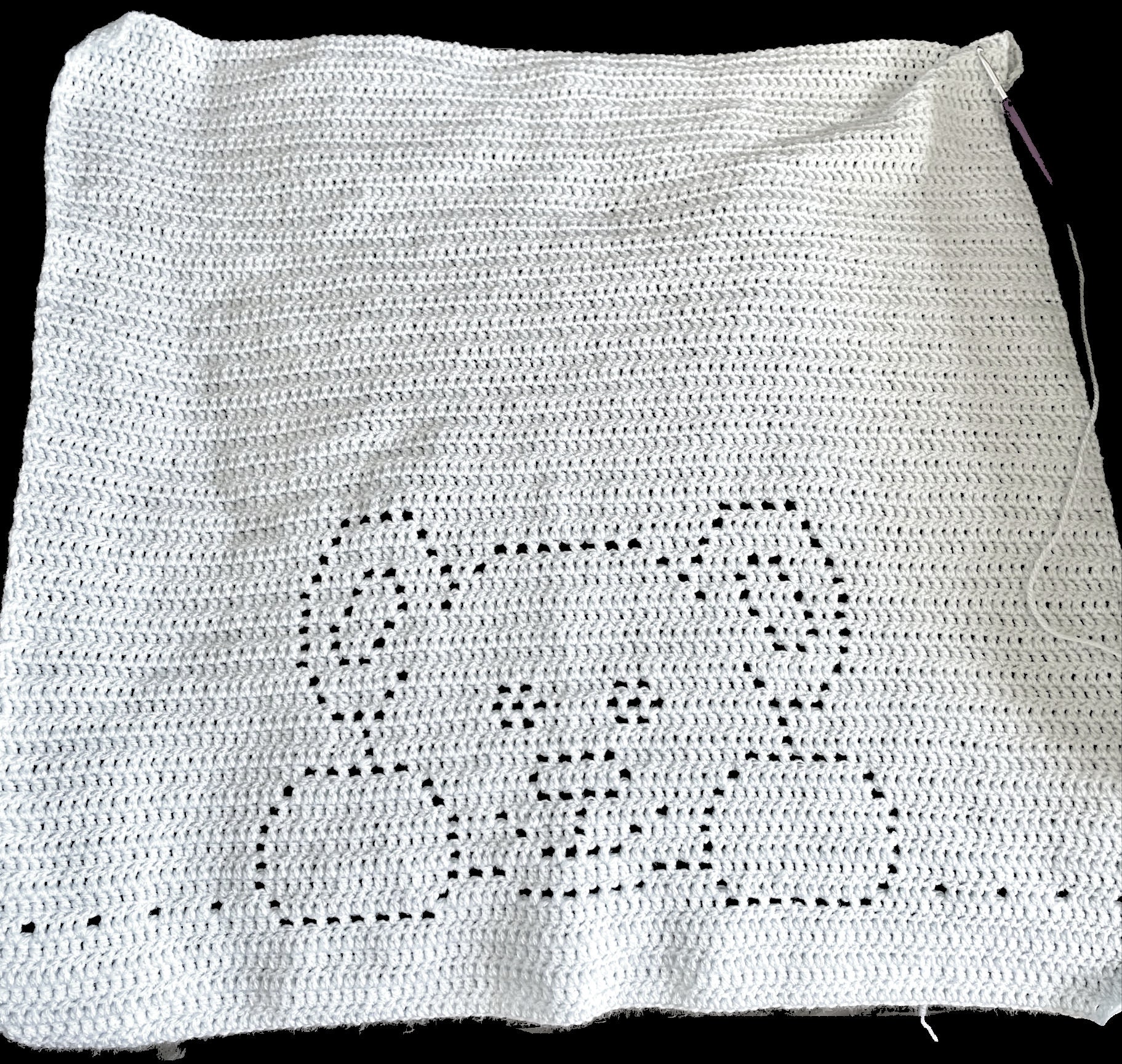 Peeping Bear Baby Blanket PDF Pattern| Filet Crochet - Etsy