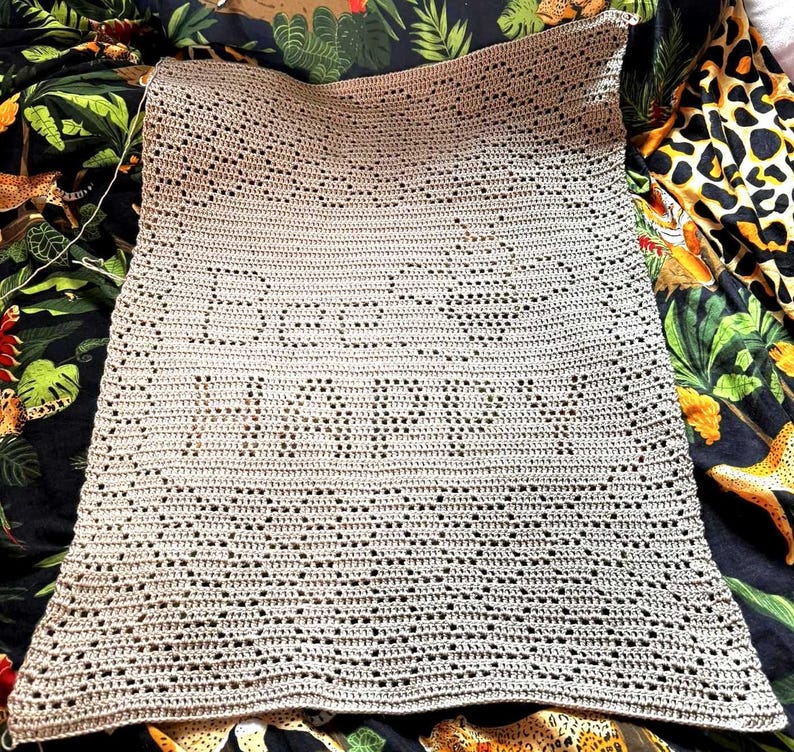 Bee Happy Filet Crochet Baby Blanket PDF Pattern - Etsy