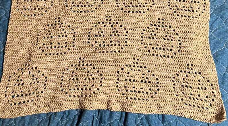 Pumpkins Filet Blanket PDF Pattern - Etsy