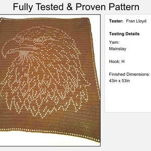 Eagle Filet Crochet Baby Blanket Pattern (PDF Download) - Etsy