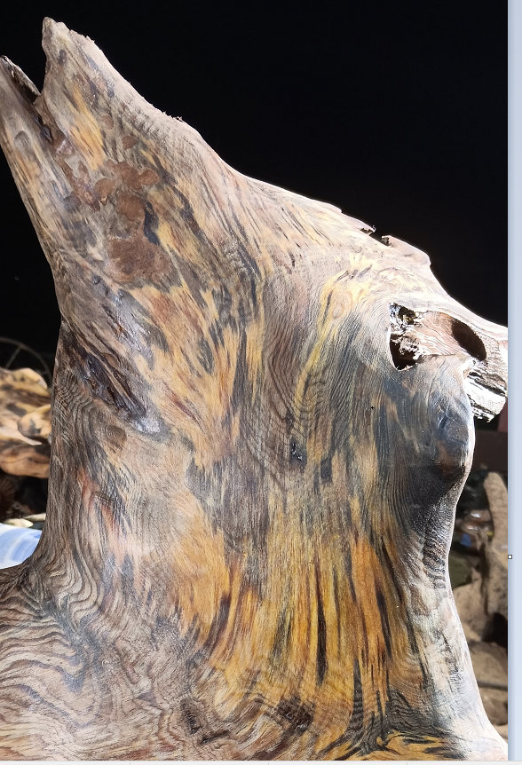 Rare Exquisite Wood Art a One of a Kind Finished Solid Rustic Lightered ...