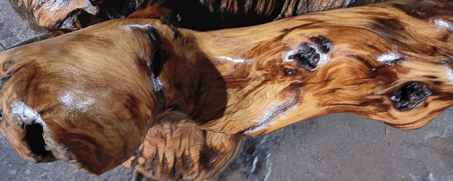 Rare Exquisite Wood Art a One of a Kind Finished Solid Rustic Lightered ...