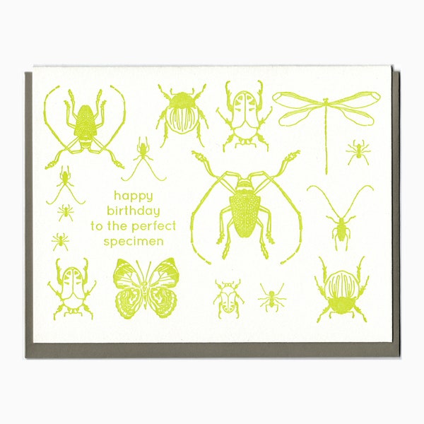 Insects - Etsy