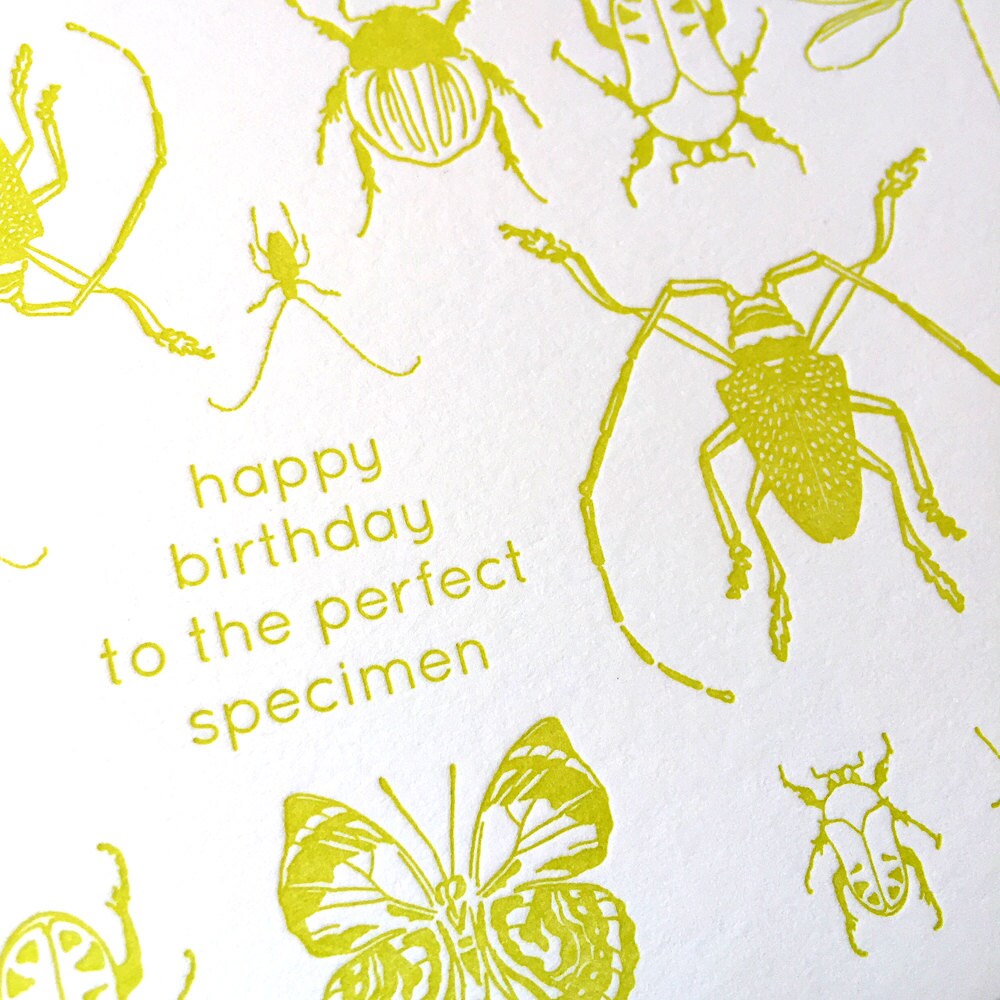 Letterpress Insects Birthday Card - Etsy