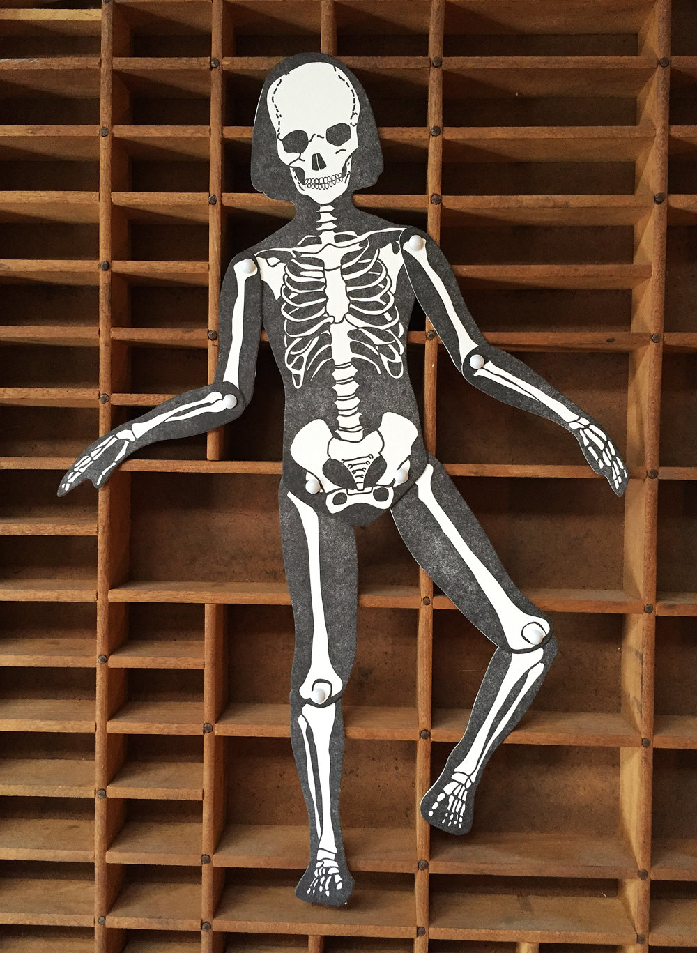 Letterpress Skeleton Articulated Figure - Etsy