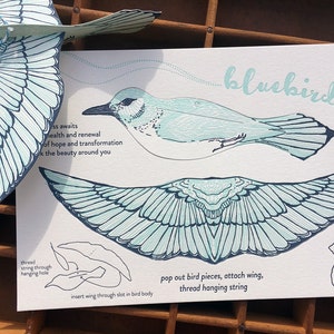 Letterpress Pop-out Bluebird Card - Etsy