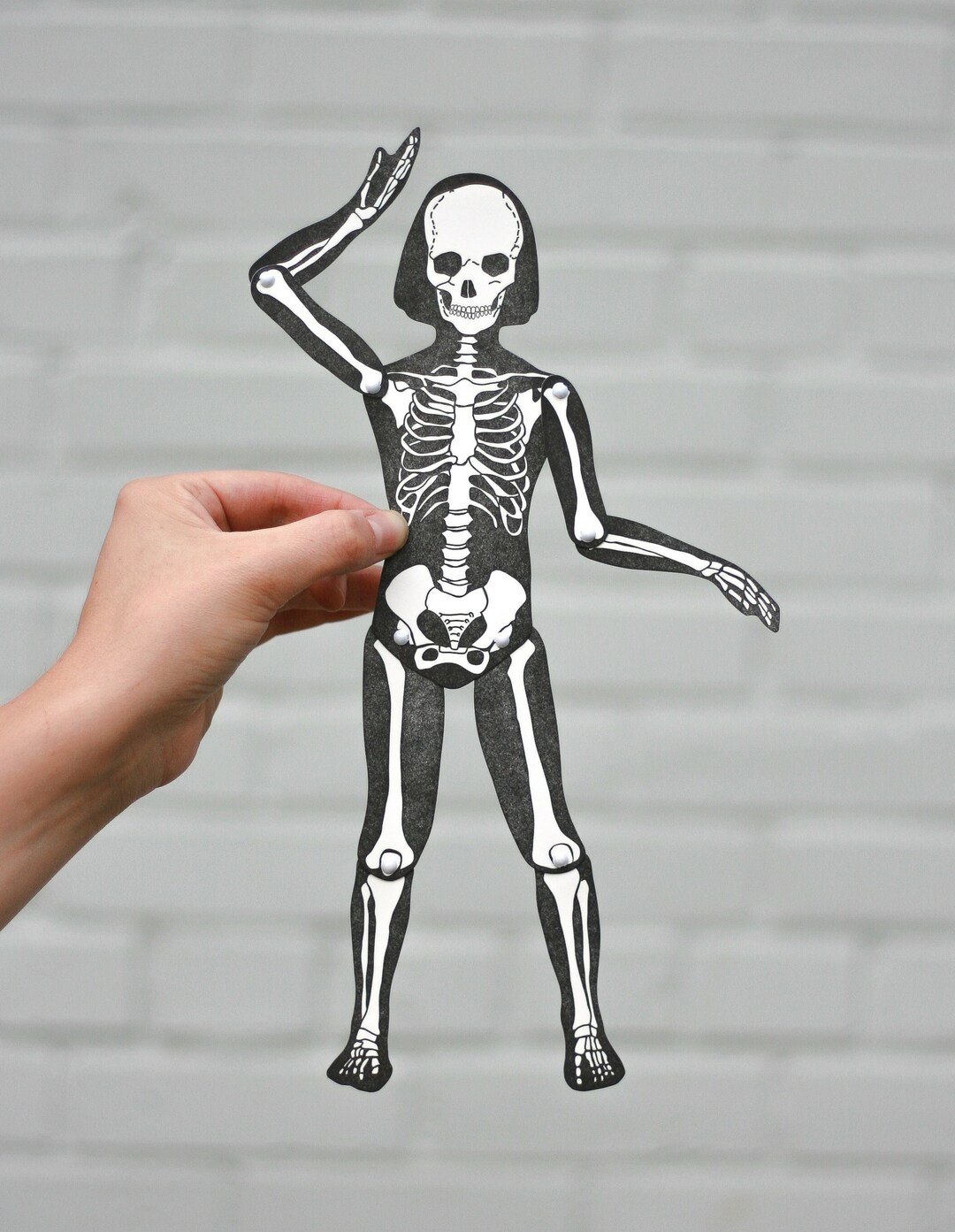 Letterpress Skeleton Articulated Figure - Etsy