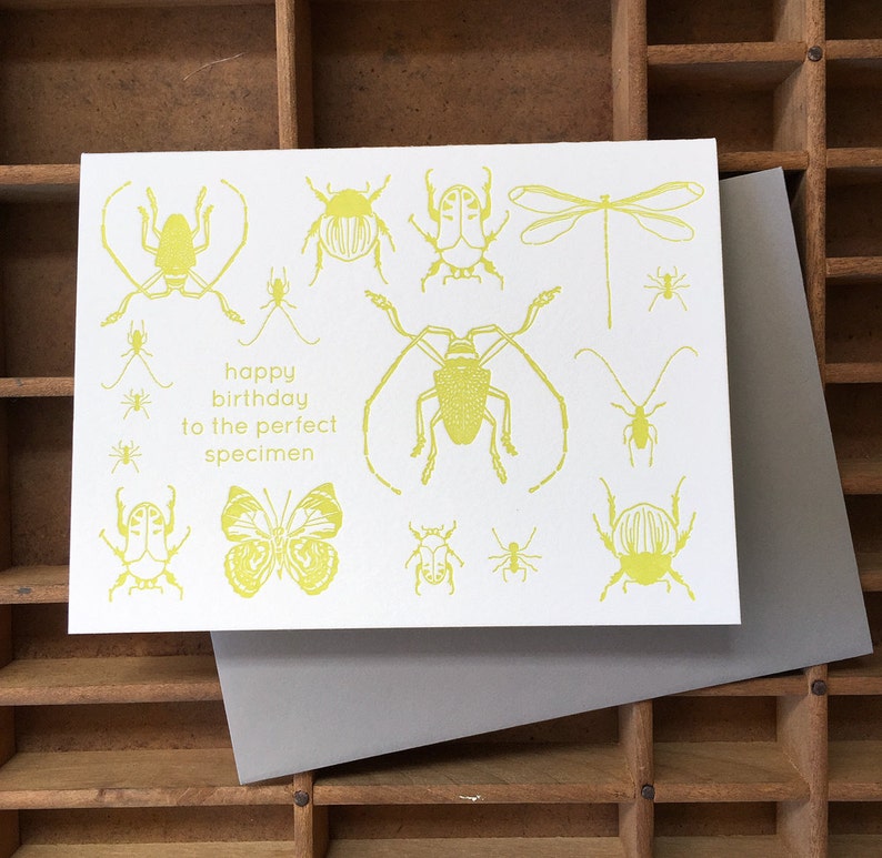 Letterpress insects birthday card | Etsy