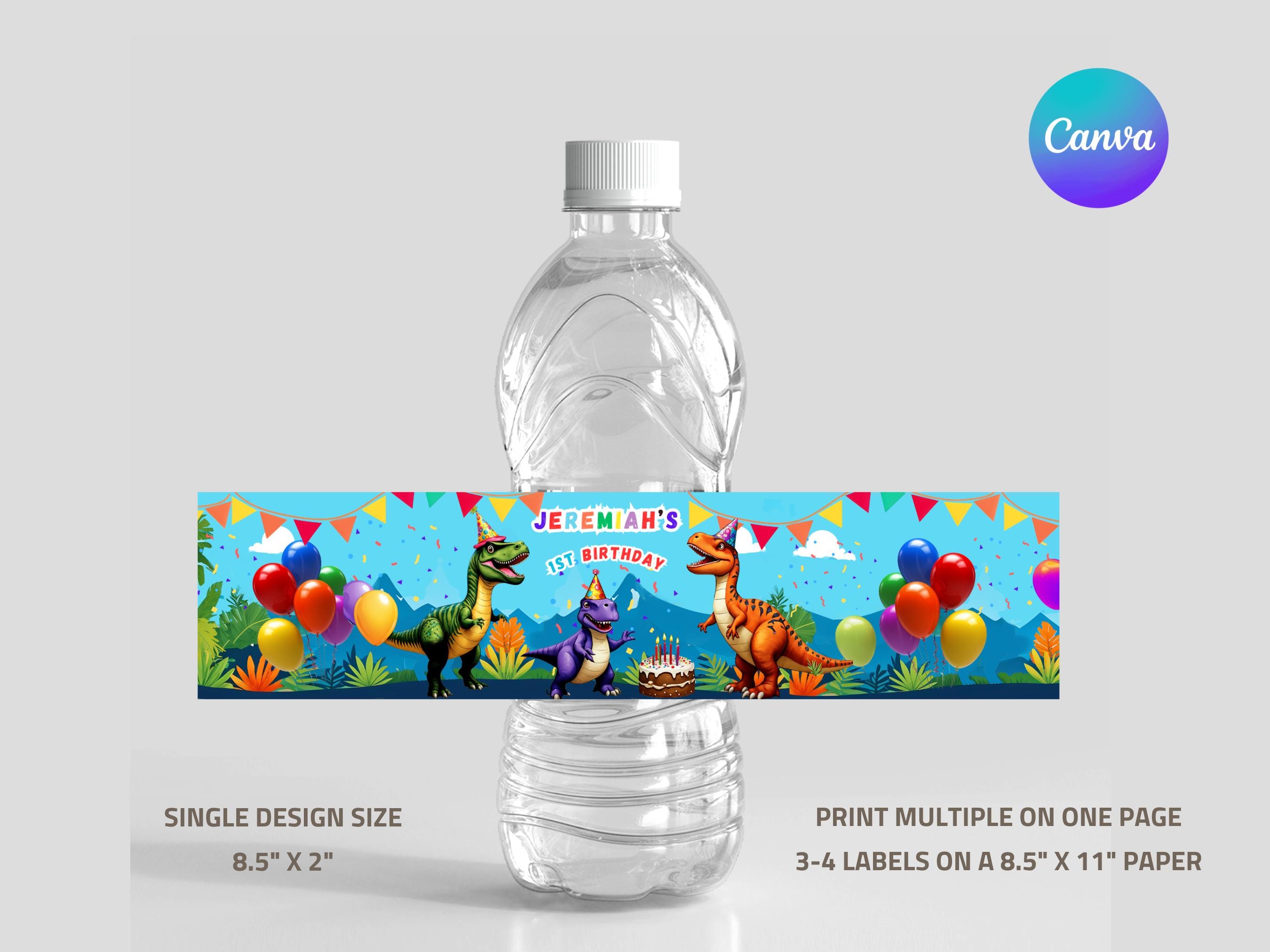 Editable Dinosaur Water Bottle Label Dinosaur Label Dinosaur Water ...