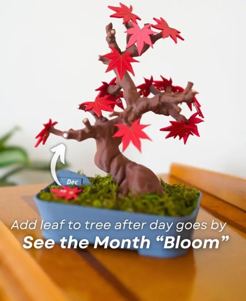 Bonsai 365 Tree Calendar - Japanese Maple Calendar for Your Desk With ...