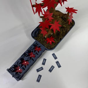 Bonsai 365 Tree Calendar - Japanese Maple Calendar for Your Desk With ...