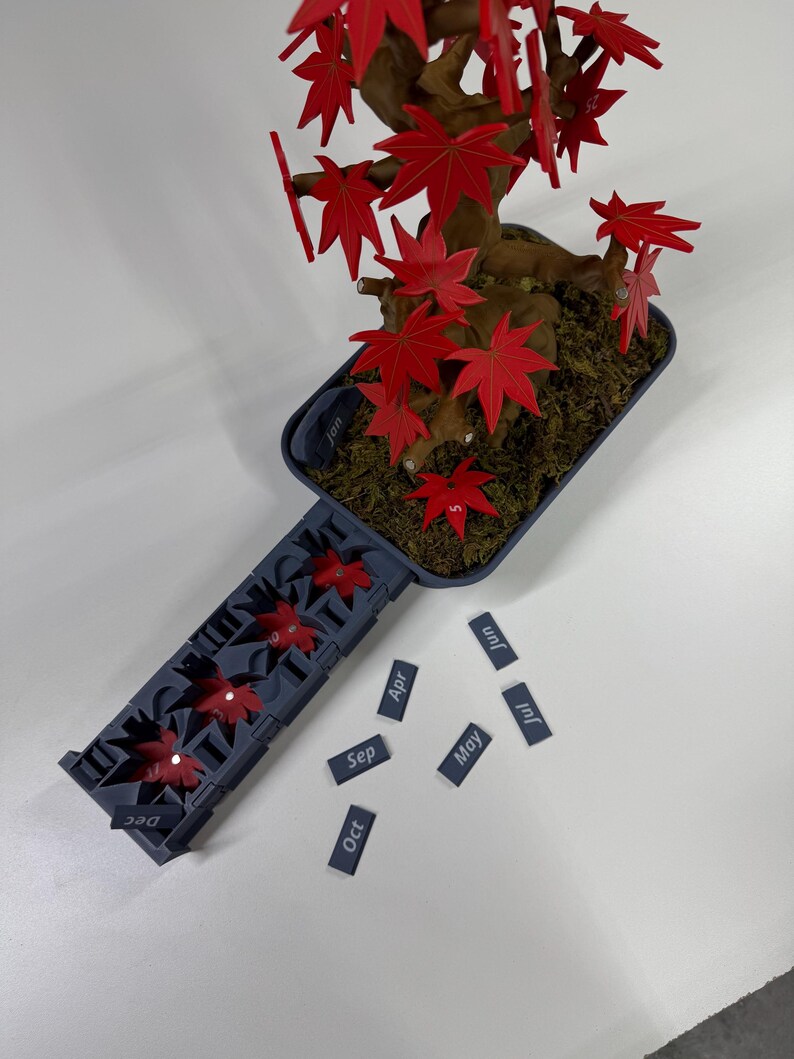 Bonsai 365 Tree Calendar - Japanese Maple Calendar for Your Desk With ...