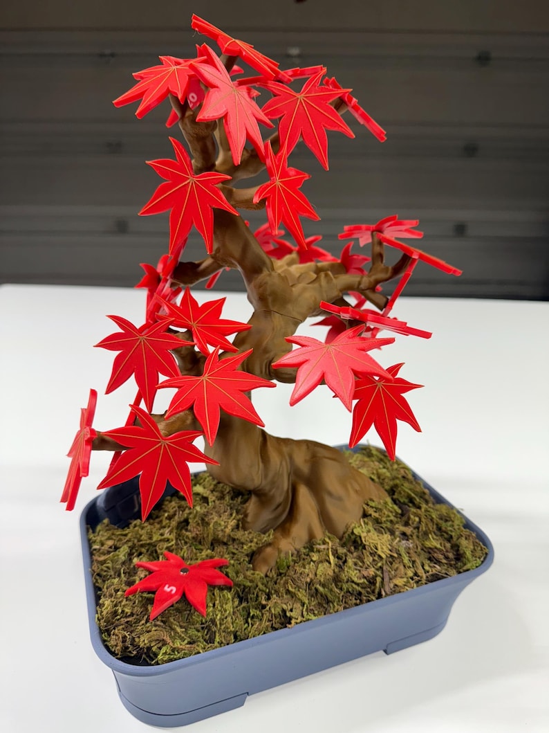 Bonsai 365 Tree Calendar - Japanese Maple Calendar for Your Desk With ...