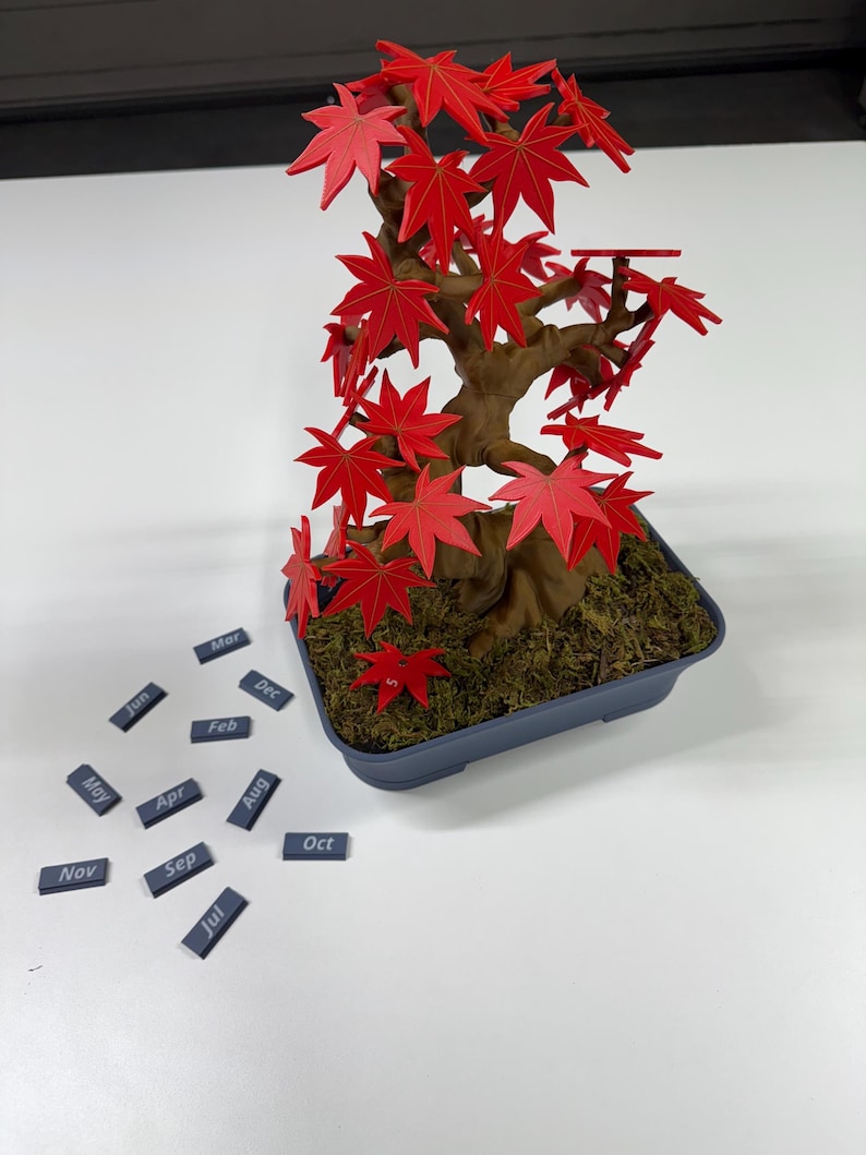 Bonsai 365 Tree Calendar - Japanese Maple Calendar for Your Desk With ...