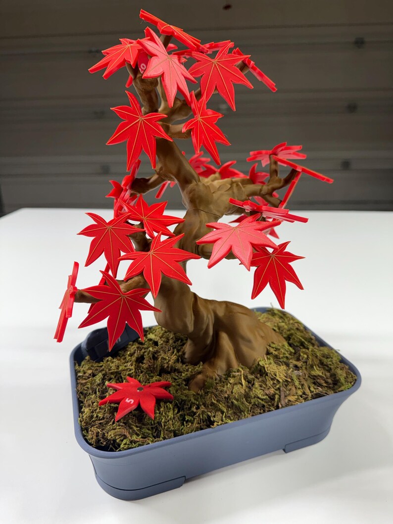 Bonsai 365 Tree Calendar - Japanese Maple Calendar for Your Desk With ...