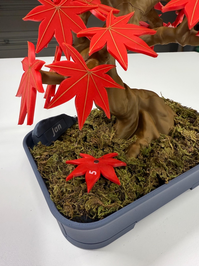 Bonsai 365 Tree Calendar - Japanese Maple Calendar for Your Desk With ...