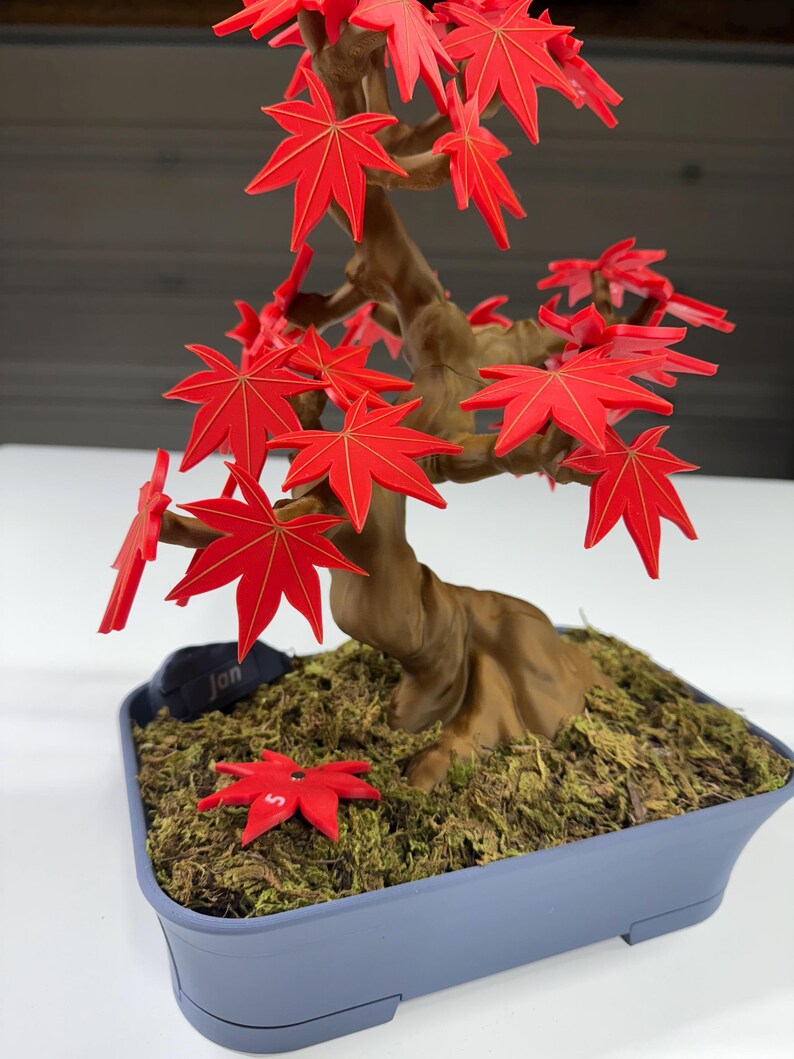 Bonsai 365 Tree Calendar - Japanese Maple Calendar for Your Desk With ...