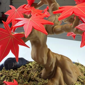 Bonsai 365 Tree Calendar - Japanese Maple Calendar for Your Desk With ...