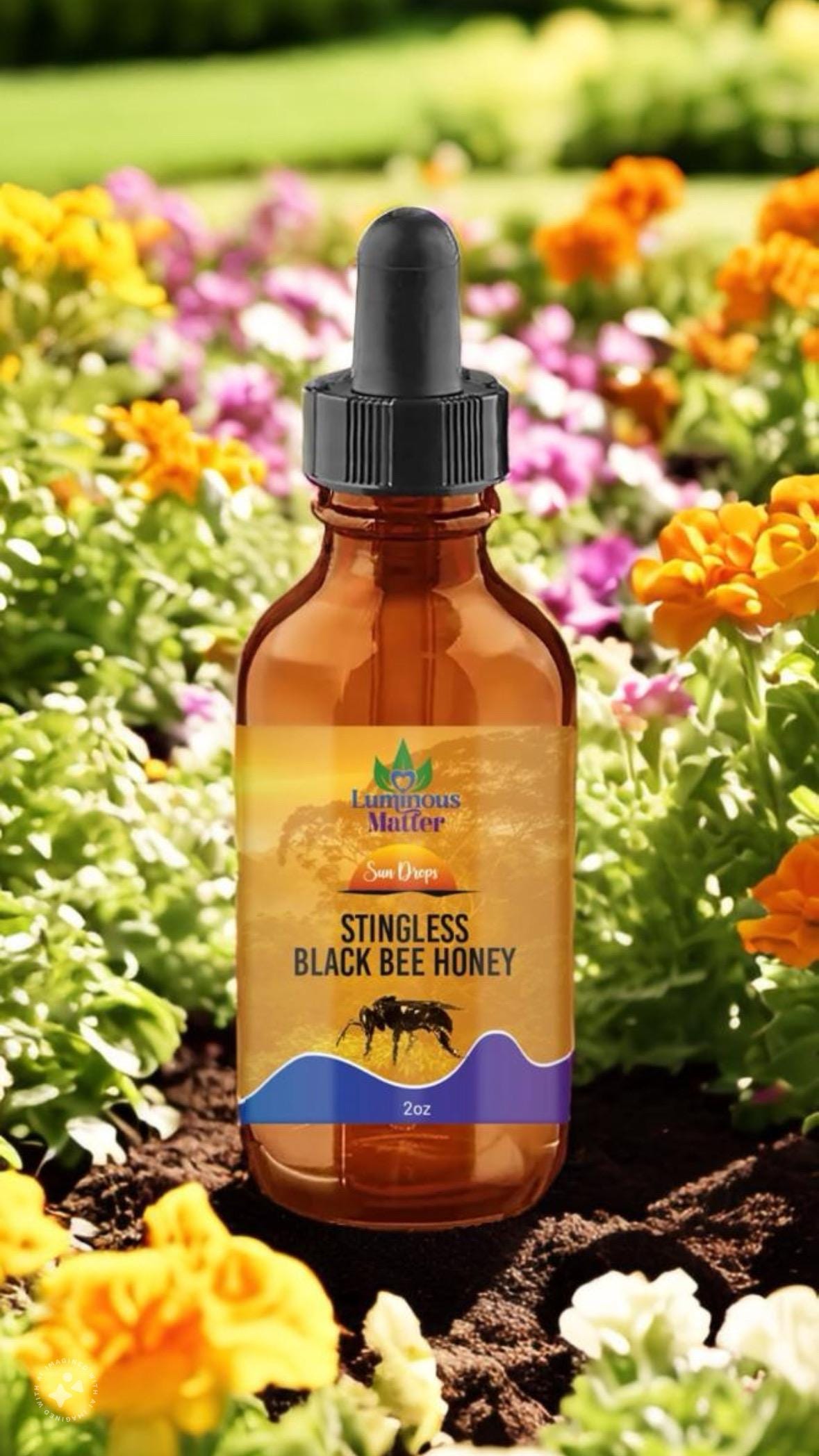 Stingless Black Bee Honey - Etsy