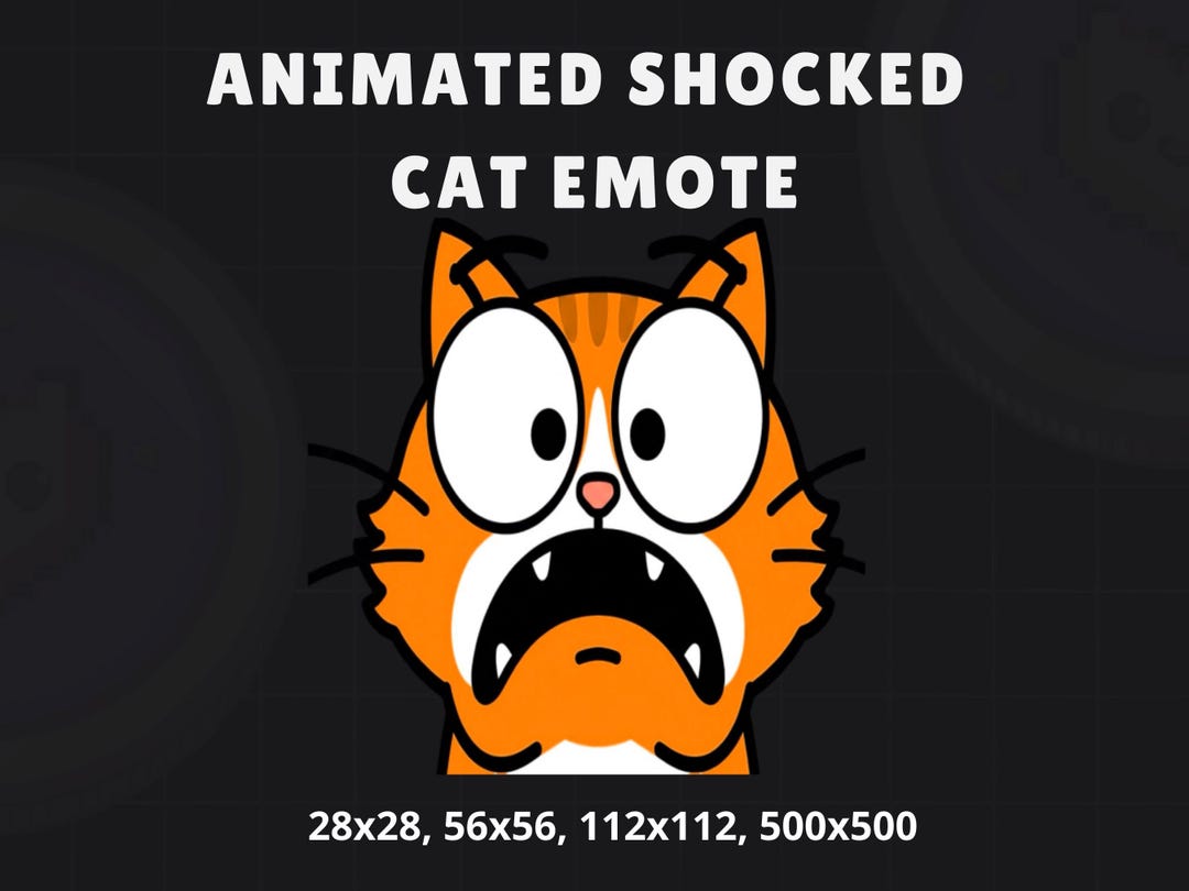 Animated Shocked Cat Emote, Stream Assets - Etsy