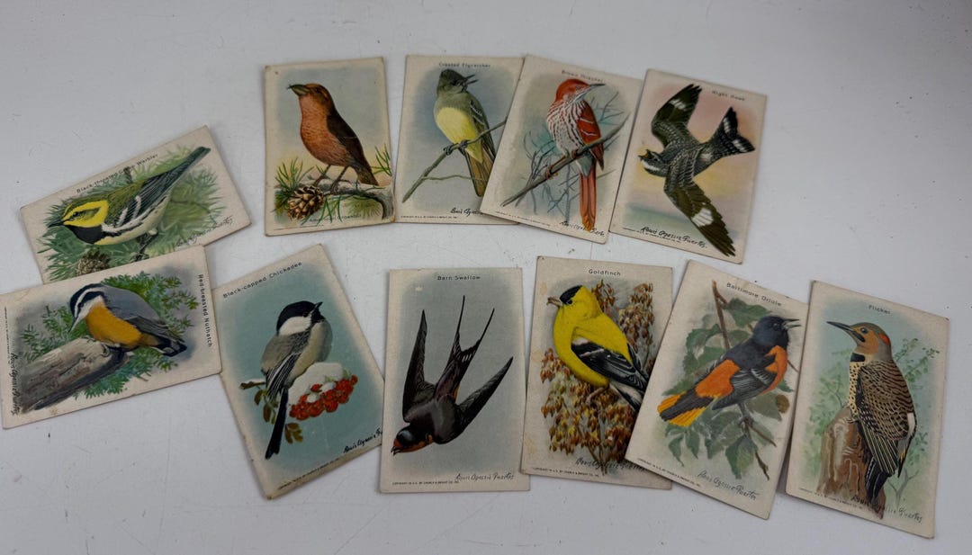 Eleven Vintage Victorian Era TRADE CARDS Arm & Hammer Bird Cards Useful ...