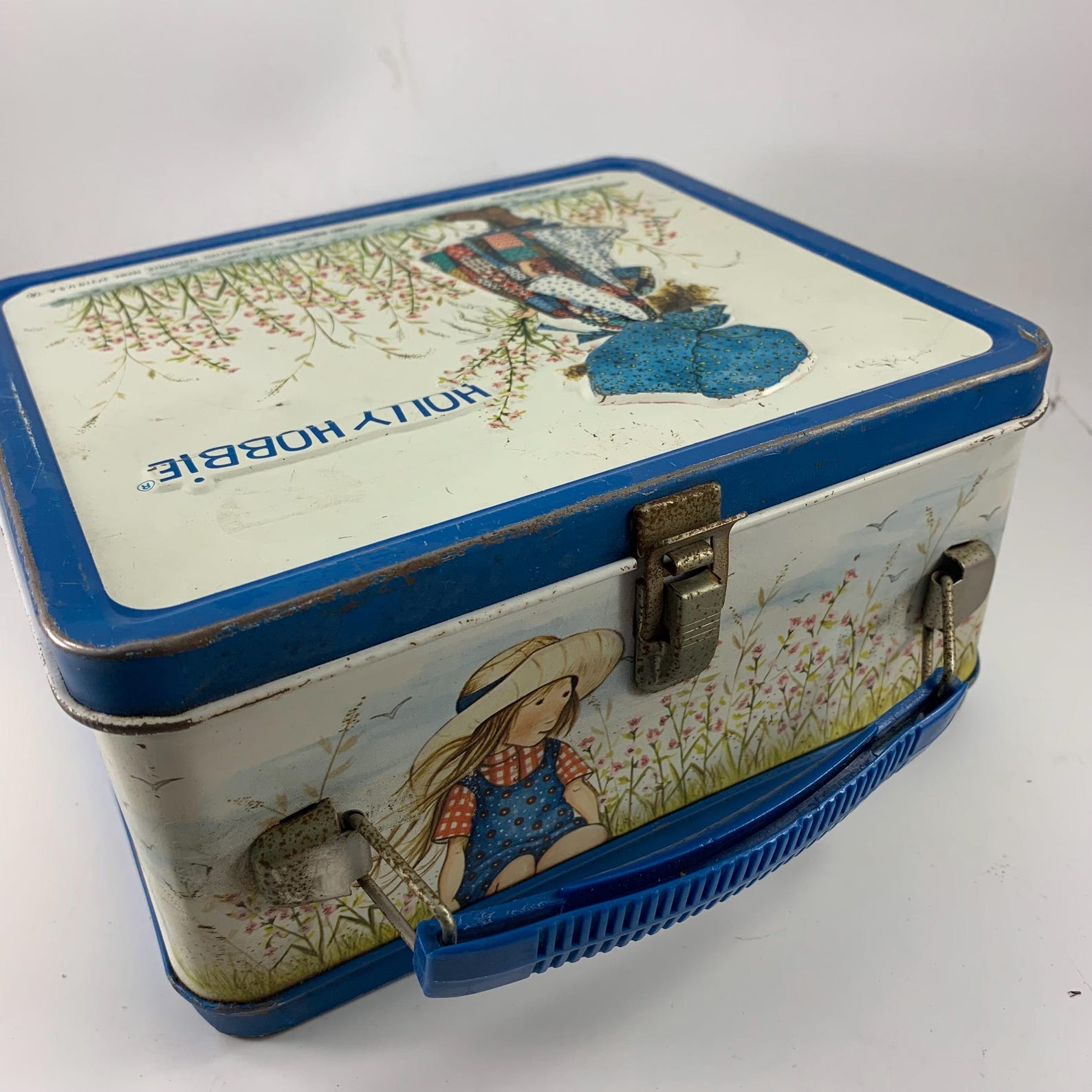 Vintage Holly Hobbie Metal Lunch Box From Aladdin and American ...