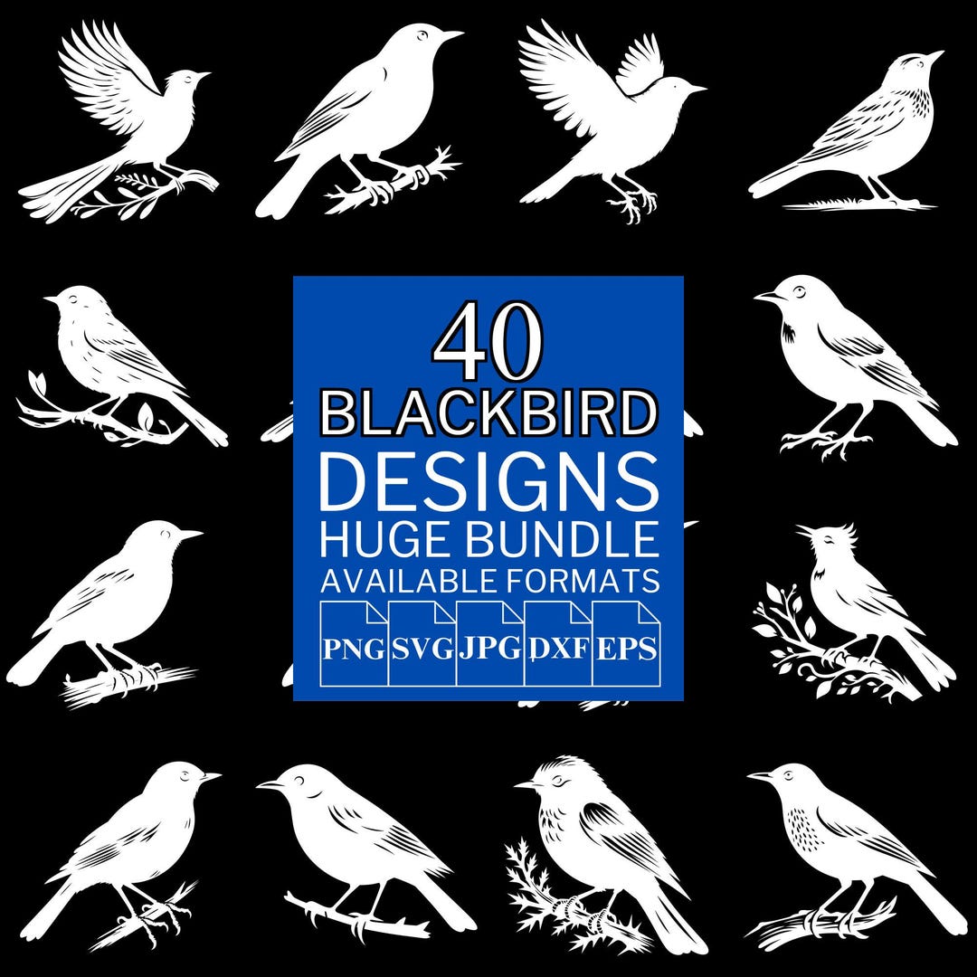 40 Blackbird SVG Bundle: Vector Clipart for Cricut & Silhouette ...