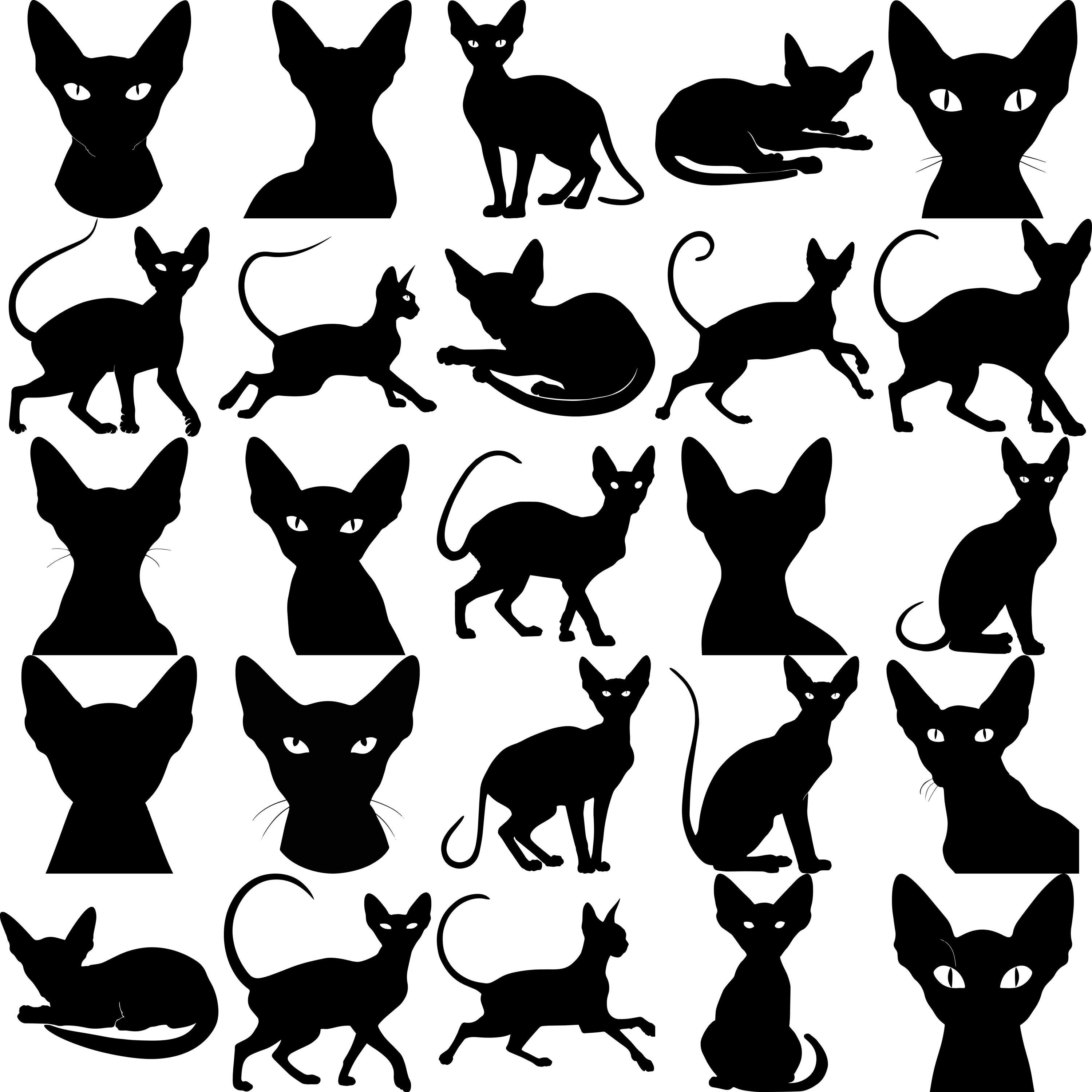 Sphynx Cat SVG Bundle: Unique Vector Clipart for Cricut (digital ...