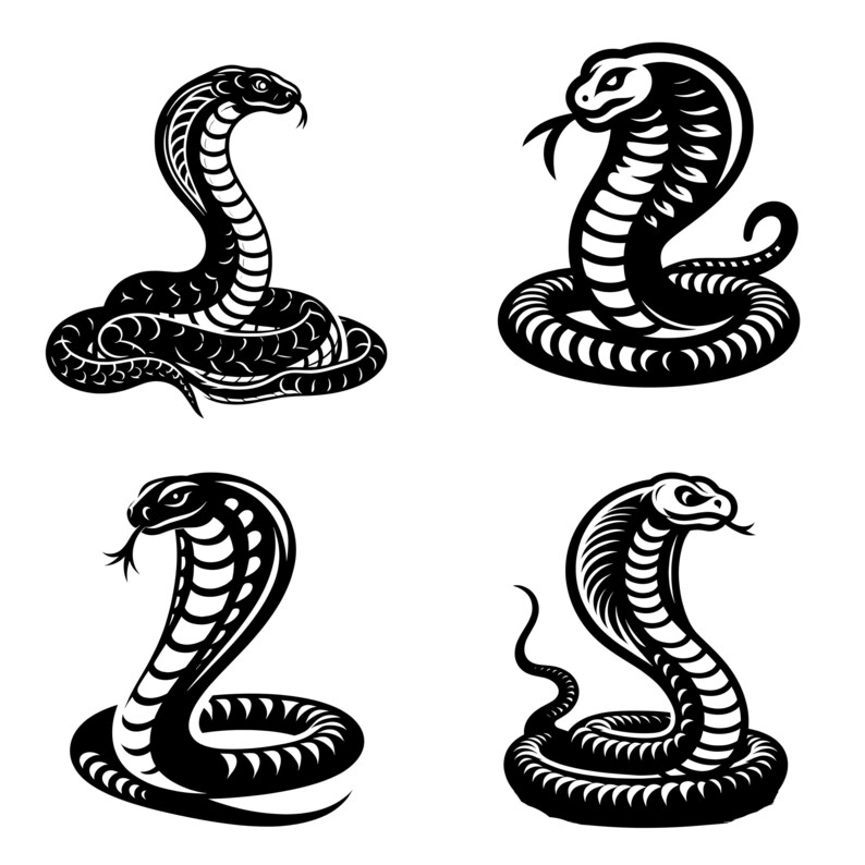 40 Cobra SVG Bundle - Unique Vector Files for Cricut and Silhouette ...