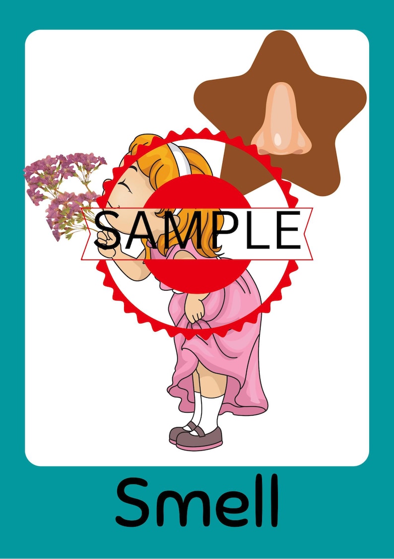 5 Senses Flashcards for Kids + Bonus Printable Chore Chart Kids ...