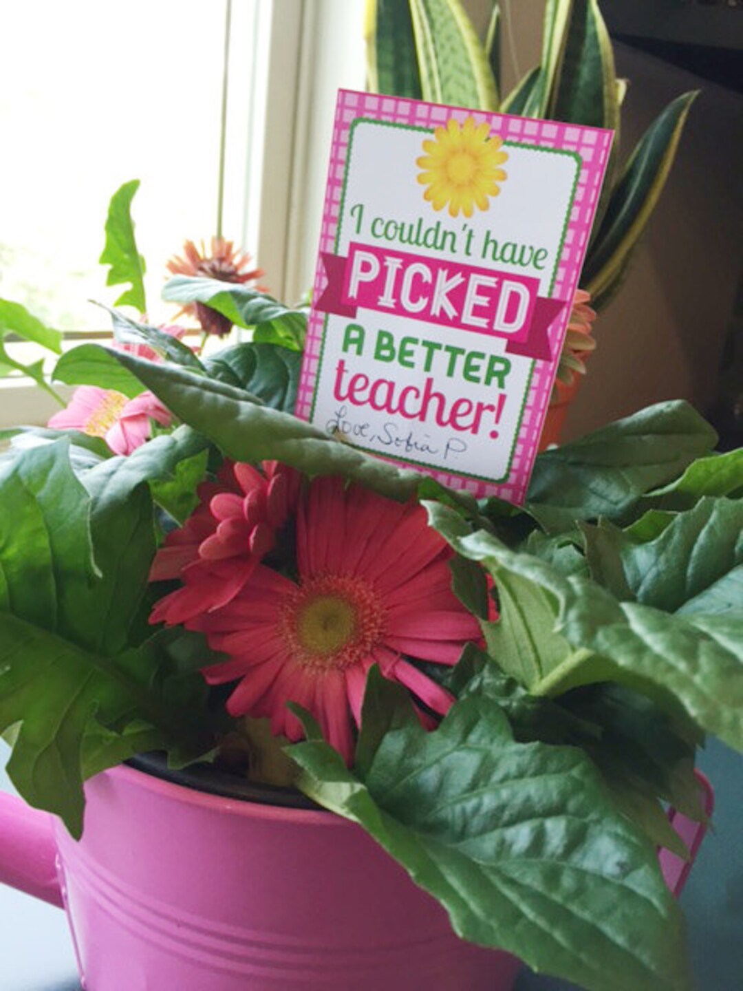 Teacher Appreciation - I Couldn't Have PICKED a Better Teacher ...