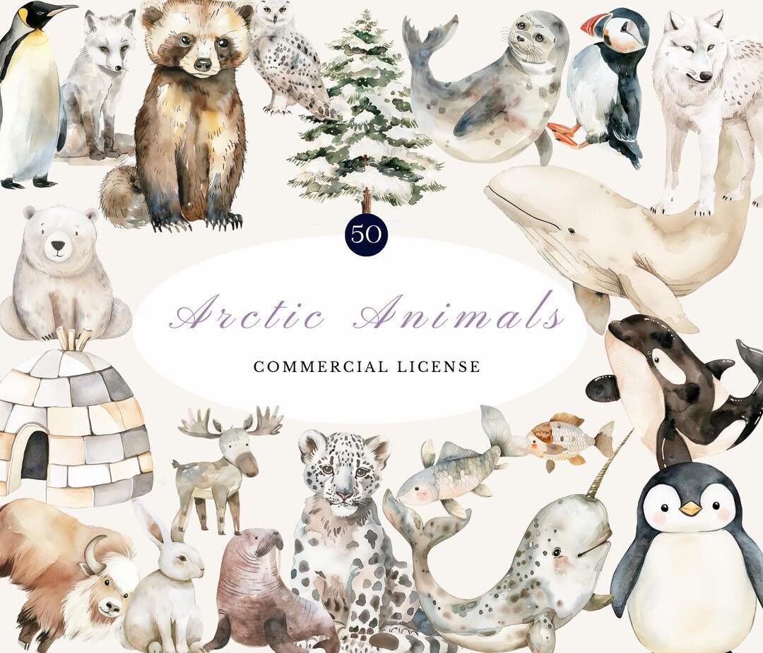 Arctic Animals Watercolor Clipart Bundle | 50 Winter Wildlife ...